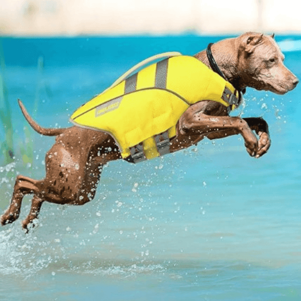 Paw Portal Dog Life Jacket – MeanYou